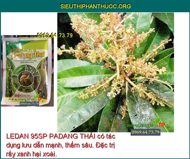 LEDAN 95SP PADANG THÁI- Đặc Trị Sâu Đục Thân- Muỗi Hành- Rầy Xanh ...