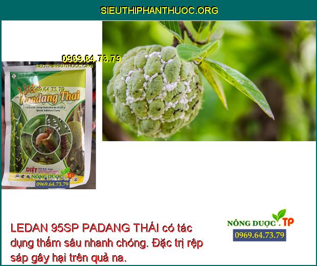 LEDAN 95SP PADANG THÁI- Đặc Trị Sâu Đục Thân- Muỗi Hành- Rầy Xanh ...