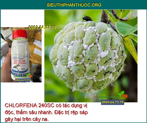CHLORFENA 240SC- Đặc Trị Sâu Cuốn Lá- Sâu Đục Thân- Rệp Sáp- Bọ Cánh Tơ ...