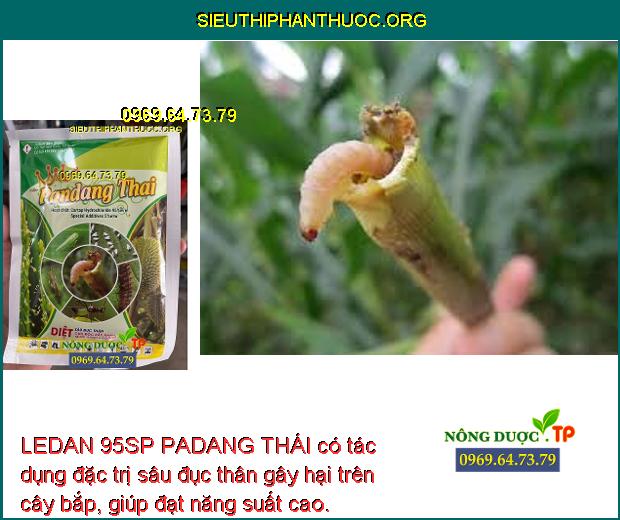 LEDAN 95SP PADANG THÁI- Đặc Trị Sâu Đục Thân- Muỗi Hành- Rầy Xanh ...
