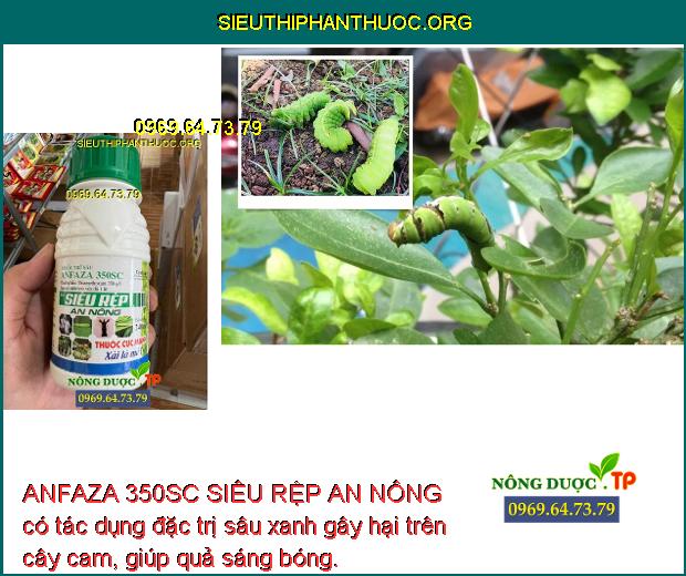 ANFAZA 350SC SIÊU RỆP AN NÔNG- Đặc Trị Rệp Sáp- Bọ Trĩ- Rầy Xanh ...