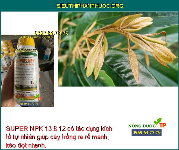 SUPER NPK 13 8 12- Giúp Cây Ra Rễ Mạnh- Đẹp Trái- Nặng Ký- Tạo Mẫu Trái ...