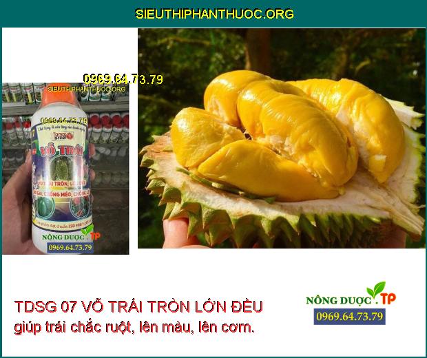 TDSG 07 VỖ TRÁI TRÒN LỚN ĐỀU- Giúp Trái Chắc Ruột- Lên Cơm- Tròn Đều ...