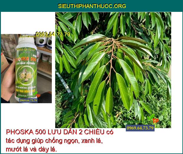 PHOSKA 500 LƯU DẪN 2 CHIỀU- Siêu Tạo Mầm Hoa- Kích Ra Hoa- Đậu Trái ...