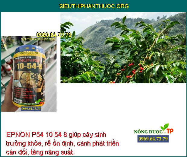 EPNON P54 10 54 8- Phân Hóa Mầm Hoa- Ra Hoa Cực Mạnh- Tăng Tỷ Lệ Thụ ...