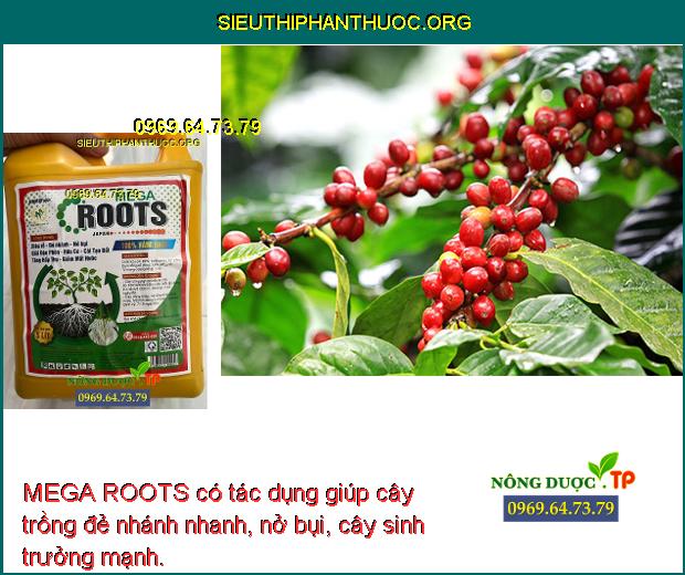 MEGA ROOTS- Siêu Rễ- Đẻ Nhánh- Cải Tạo Đất- Giải Độc Phèn- Tăng Hấp Thu ...