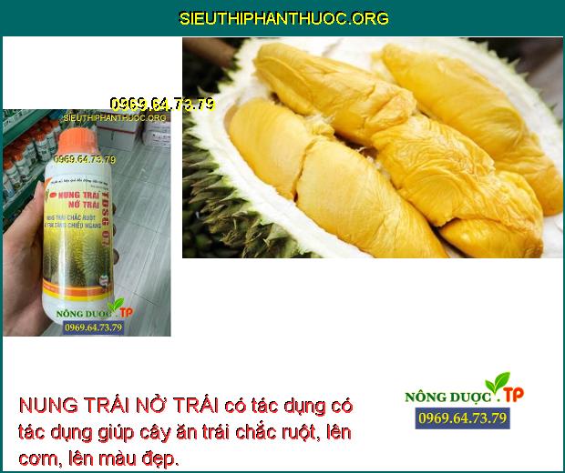 NUNG TRÁI NỞ TRÁI- Giúp Trái Lớn Cân Đối- Chắc Ruột- Lên Màu- Nặng Ký ...