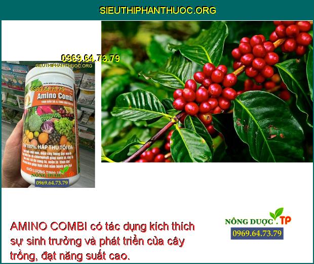 AMINO COMBI- Bung Đọt Mạnh- Xanh Lá- Dày Lá- Hạn Chế Vàng Lá- Xoắn Lá ...