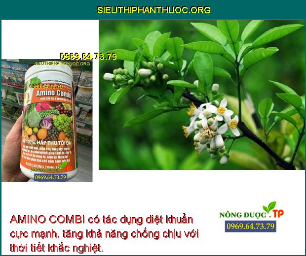 AMINO COMBI- Bung Đọt Mạnh- Xanh Lá- Dày Lá- Hạn Chế Vàng Lá- Xoắn Lá ...