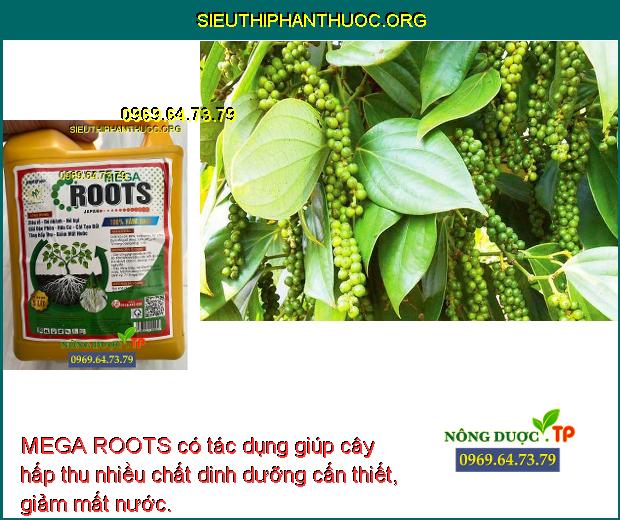 MEGA ROOTS- Siêu Rễ- Đẻ Nhánh- Cải Tạo Đất- Giải Độc Phèn- Tăng Hấp Thu ...