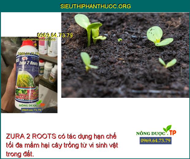 ZURA 2 ROOTS- Chuyên Gia Về Rễ- Giúp Hạn Chế Thối Rễ- Nghẹt Rễ- Kích Ra ...