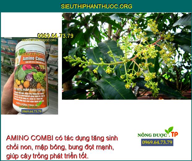AMINO COMBI- Bung Đọt Mạnh- Xanh Lá- Dày Lá- Hạn Chế Vàng Lá- Xoắn Lá ...