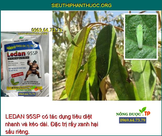 LEDAN 95SP- Đặc Trị Sâu Đục Thân- Sâu Cuốn Lá- Rầy Xanh- Sâu Tơ- Bọ Trĩ ...