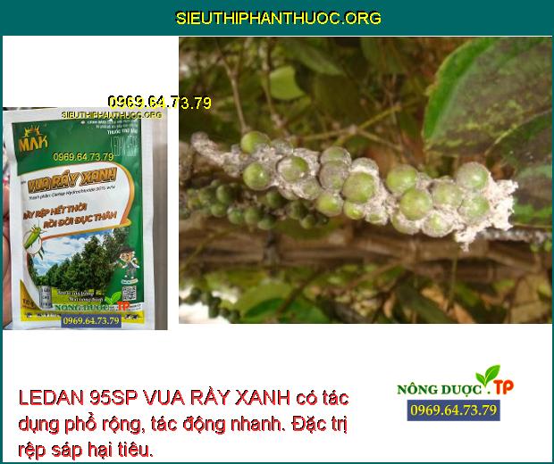 LEDAN 95SP VUA RẦY XANH- Đặc Trị Các Loại Côn Trùng Miệng Nhai- Chích ...