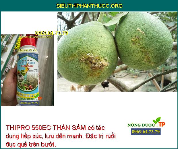THIPRO 550EC THẦN SẤM- Đặc Trị Nhện Đỏ- Rệp Sáp- Rệp Vẩy- Ruồi Đục Quả ...