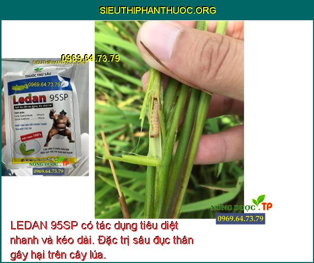 LEDAN 95SP- Đặc Trị Sâu Đục Thân- Sâu Cuốn Lá- Rầy Xanh- Sâu Tơ- Bọ Trĩ ...