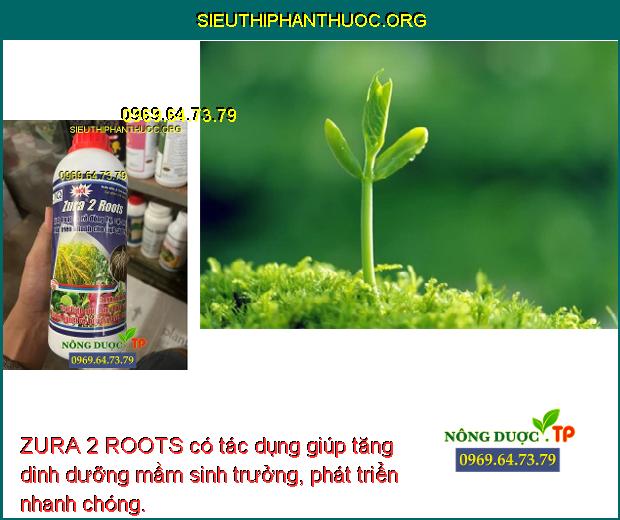 ZURA 2 ROOTS- Chuyên Gia Về Rễ- Giúp Hạn Chế Thối Rễ- Nghẹt Rễ- Kích Ra ...