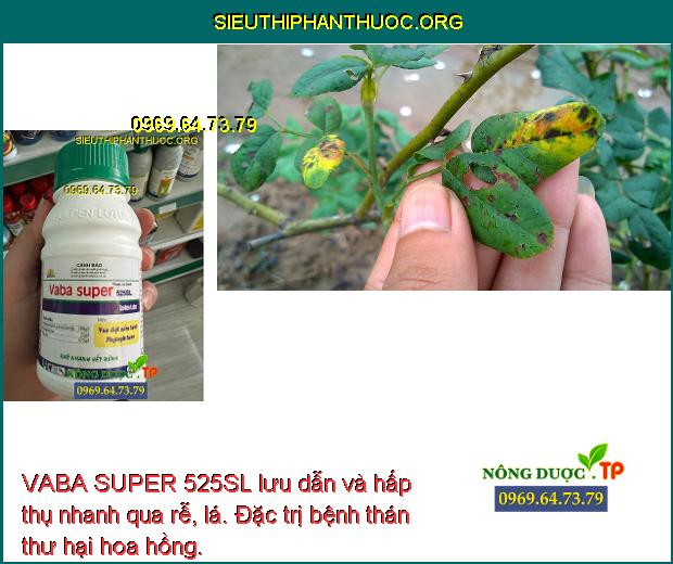 VABA SUPER 525SL- Đặc Trị Bệnh Thối Rễ- Chết Nhanh Trên Cây Trồng ...
