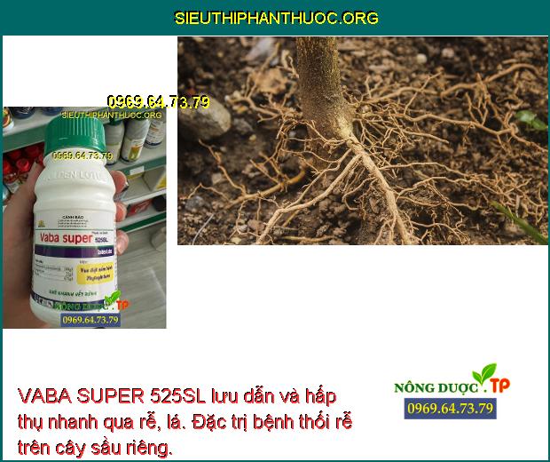 VABA SUPER 525SL- Đặc Trị Bệnh Thối Rễ- Chết Nhanh Trên Cây Trồng ...