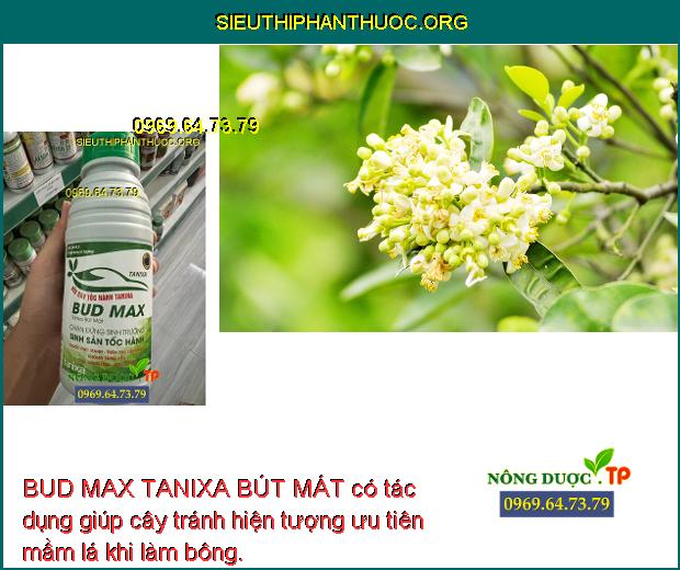 BUD MAX TANIXA BÚT MÁT- Giúp Cây Nhanh Già Lá- Cây Xỉu Nhanh- Tập Trung ...