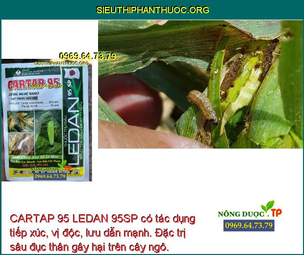 CARTAP 95 LEDAN 95SP- Đặc Trị Sâu Đục Thân Gây Hại Trên Cây Trồng ...