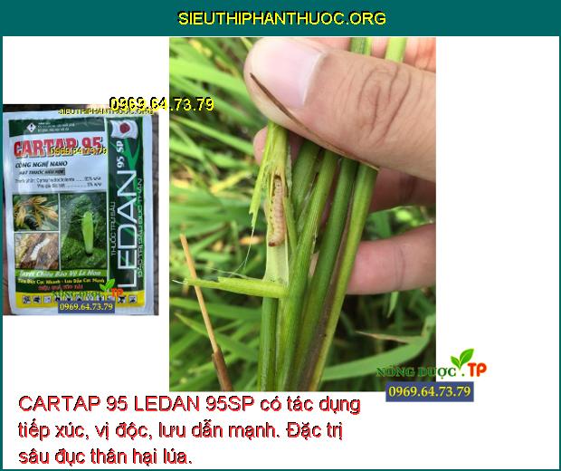 CARTAP 95 LEDAN 95SP- Đặc Trị Sâu Đục Thân Gây Hại Trên Cây Trồng ...