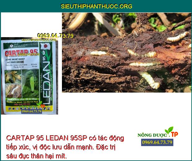 CARTAP 95 LEDAN 95SP- Đặc Trị Sâu Đục Thân Gây Hại Trên Cây Trồng ...