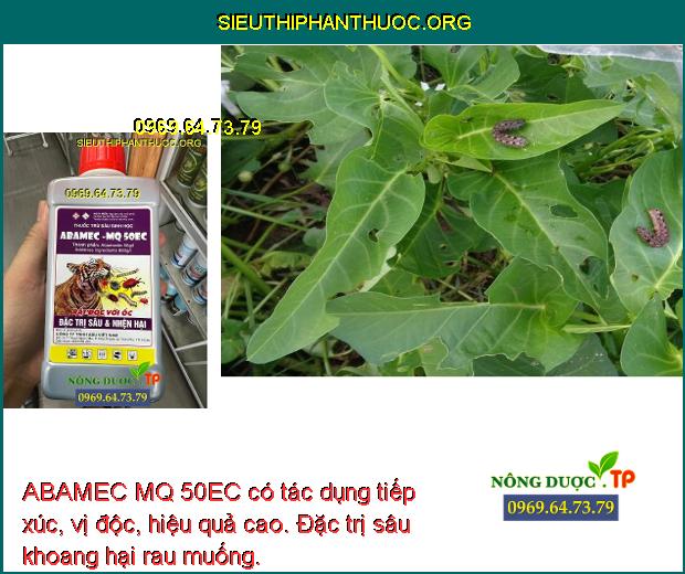 ABAMEC MQ 50EC- Đặc Trị Sâu Khoang Hại Lạc- Nhện Đỏ Hại Chè. - SIÊU THỊ ...