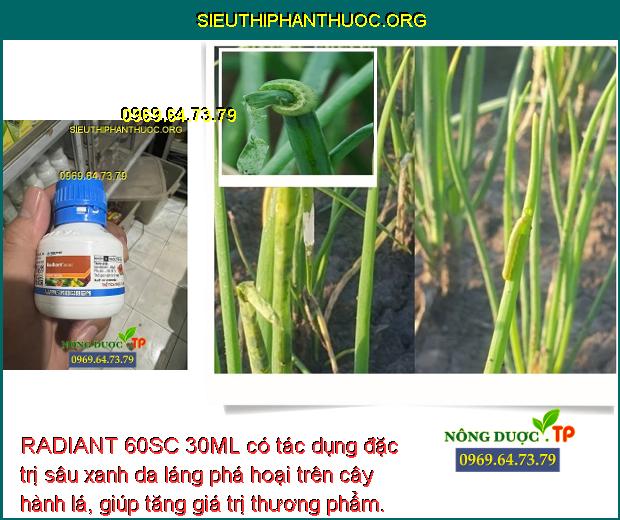 RADIANT 60SC 30ML- Đặc Trị Bọ Trĩ- Sâu Xanh Da Láng- Sâu Vẽ Bùa- Bọ Trĩ ...