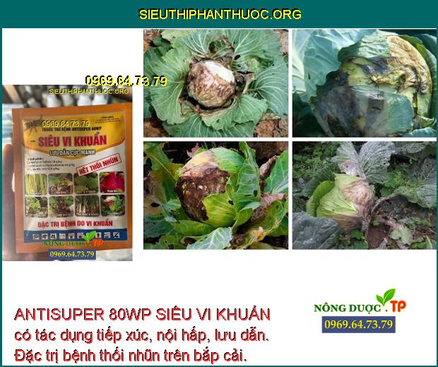 ANTISUPER 80WP SIÊU VI KHUẨN- Đặc Trị Bạc Lá Lúa- Thối Nhũn- Đốm Lá ...