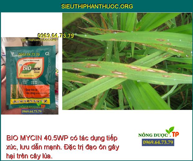 BIO MYCIN 40.5WP- Đặc Trị Lem Lép Hạt- Bạc Lá Gây Hại Trên Cây Lúa ...