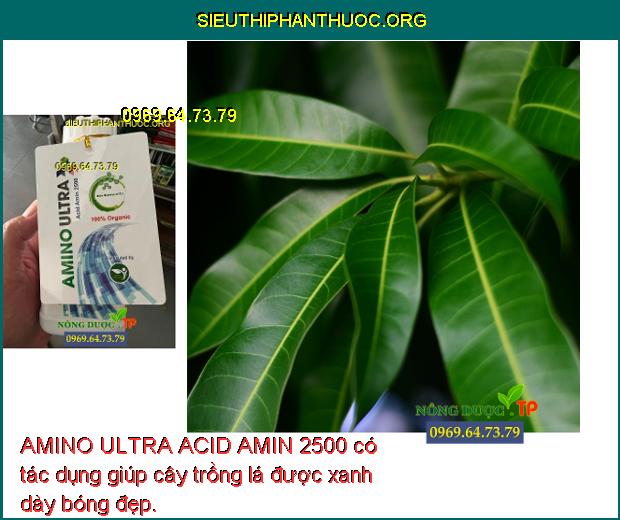 AMINO ULTRA ACID AMIN 2500- Giúp Lá Xanh Dày- Dưỡng Hoa- Nuôi Trái ...