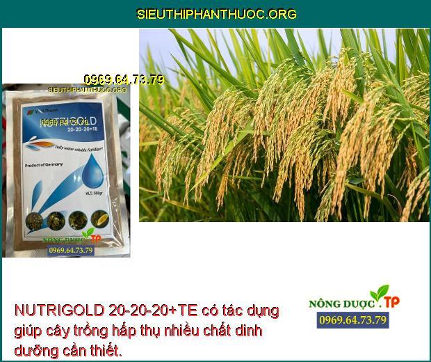 NUTRIGOLD 20-20-20+TE- Giúp Cây Sinh Trưởng Tốt- Phát Triển Cân Đối ...