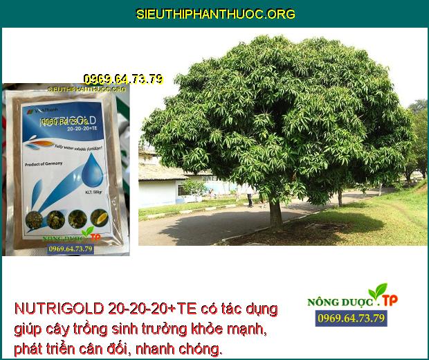 NUTRIGOLD 20-20-20+TE- Giúp Cây Sinh Trưởng Tốt- Phát Triển Cân Đối ...
