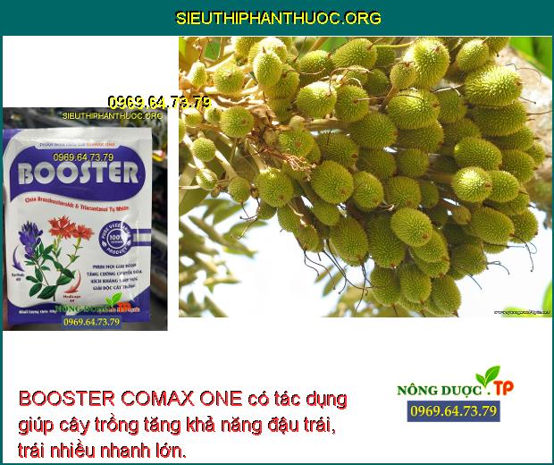 BOOSTER COMAX ONE- Tăng Cường Chuyển Hóa- Giảm Sốc Sinh Lý- Chống Rụng ...