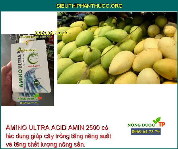 AMINO ULTRA ACID AMIN 2500- Giúp Lá Xanh Dày- Dưỡng Hoa- Nuôi Trái ...
