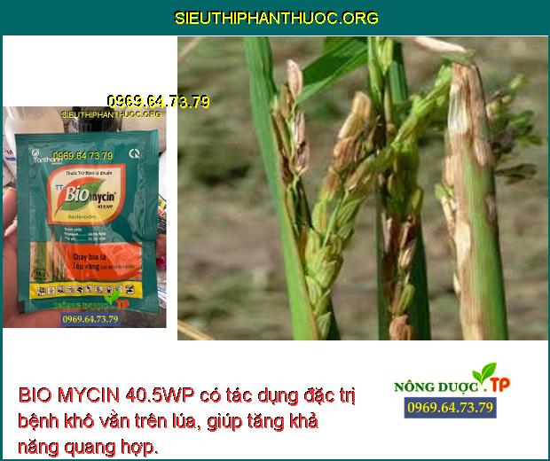 BIO MYCIN 40.5WP- Đặc Trị Lem Lép Hạt- Bạc Lá Gây Hại Trên Cây Lúa ...