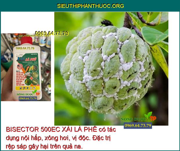BISECTOR 500EC XÀI LÀ PHÊ- Đặc Trị Sâu Đục Thân- Ruồi Vàng- Rệp Sáp ...