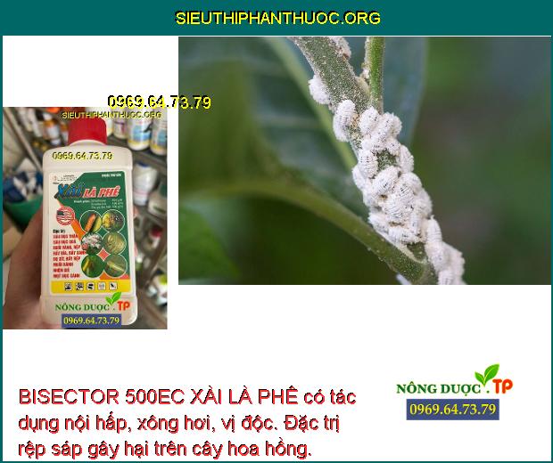 BISECTOR 500EC XÀI LÀ PHÊ- Đặc Trị Sâu Đục Thân- Ruồi Vàng- Rệp Sáp ...