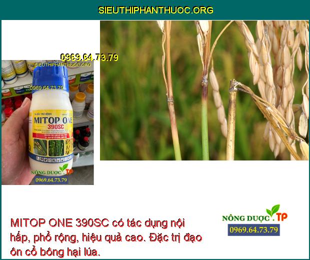 MITOP ONE 390SC- Đặc Trị Lem Lép Hạt- Vàng Lá- Đạo Ôn Cổ Bông- Khô Vằn ...