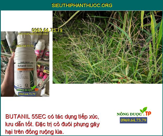 BUTANIL 55EC- Đặc Trị Cỏ Lồng Vực- Cỏ Đuôi Phụng- Cỏ Chác- Cỏ Lác- Rau ...