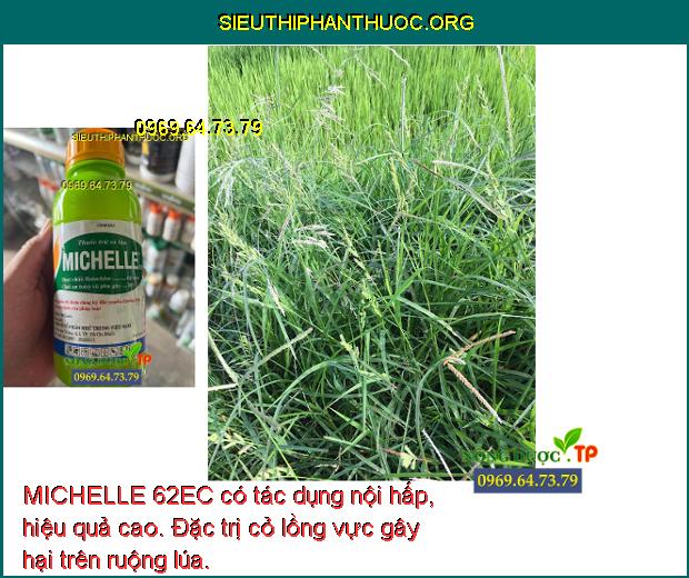 MICHELLE 62EC- Đặc Trị Lúa Lộn- Cỏ Chác Lác- Cỏ Lá Rộng- Cỏ Lồng Vực ...