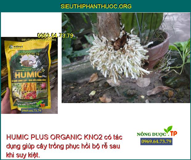 HUMIC PLUS ORGANIC KNO2- Kích Ra Rễ Cực Mạnh- Phục Hồi Nhanh Bộ Rễ- Quả ...