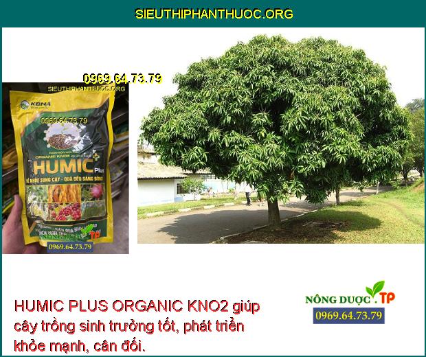 HUMIC PLUS ORGANIC KNO2- Kích Ra Rễ Cực Mạnh- Phục Hồi Nhanh Bộ Rễ- Quả ...