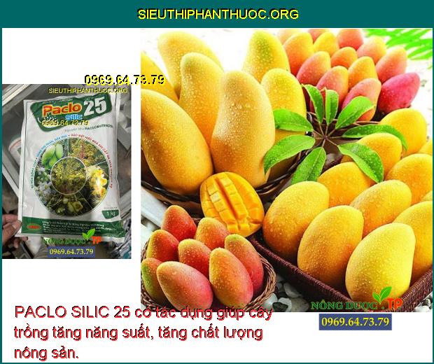 PACLO SILIC 25- Đẩy Nhanh Quá Trình Ra Hoa Nghịch Vụ- Hạn Chế Rụng Trái ...