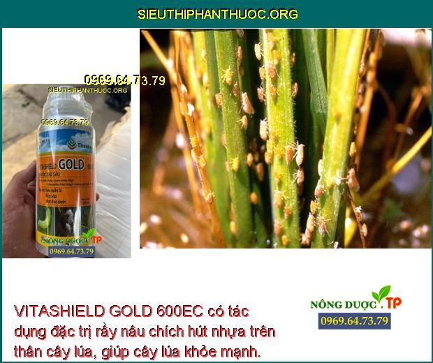 VITASHIELD GOLD 600EC- Đại Trị Sâu Cuốn Lá Lúa- Rệp Sáp- Mọt Đục Cành ...