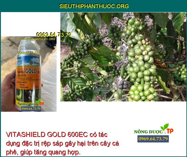 VITASHIELD GOLD 600EC- Đại Trị Sâu Cuốn Lá Lúa- Rệp Sáp- Mọt Đục Cành ...