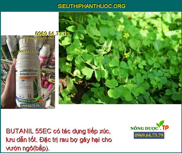 BUTANIL 55EC- Đặc Trị Cỏ Lồng Vực- Cỏ Đuôi Phụng- Cỏ Chác- Cỏ Lác- Rau ...
