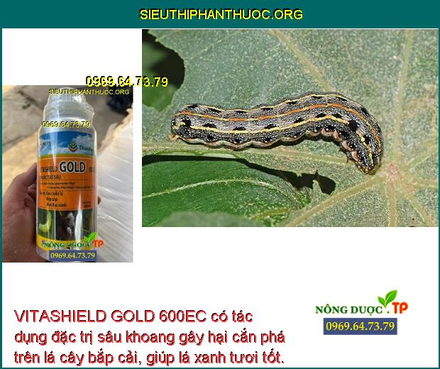VITASHIELD GOLD 600EC- Đại Trị Sâu Cuốn Lá Lúa- Rệp Sáp- Mọt Đục Cành ...