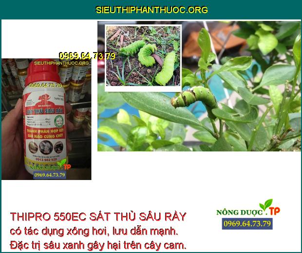 THIPRO 550EC SÁT THỦ SÂU RẦY- Đặc Trị Rầy Nâu- Rầy Lưng Trắng- Rệp Sáp ...